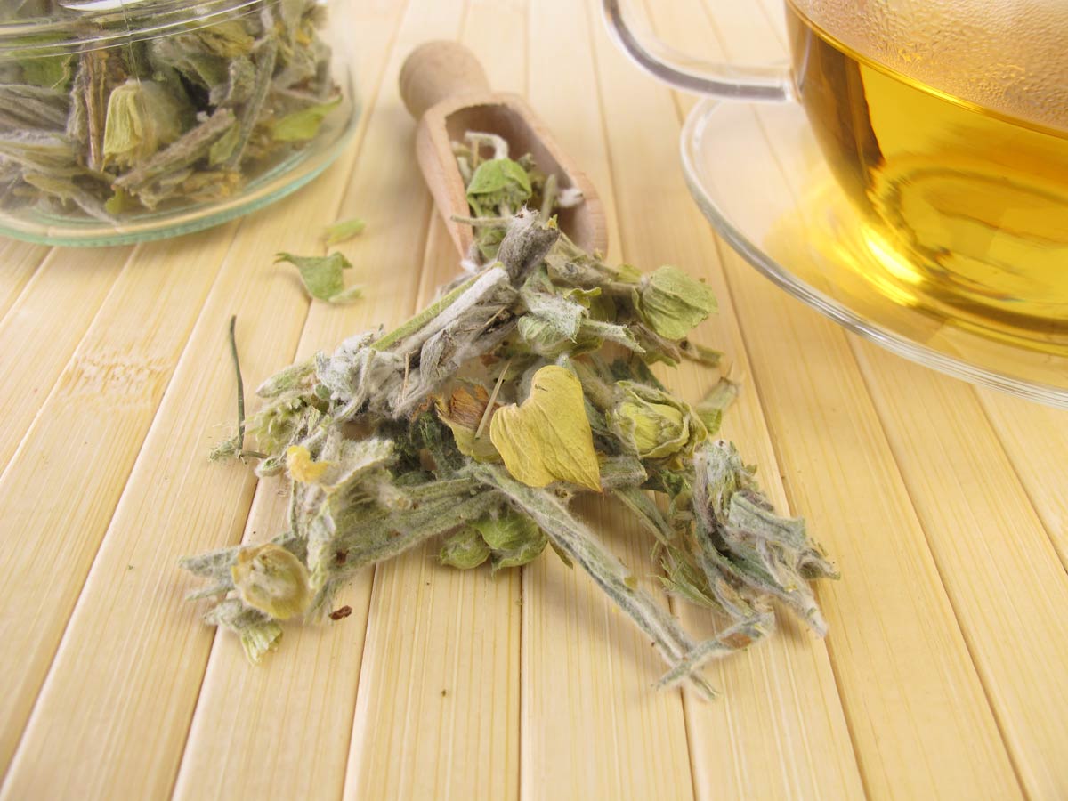 Mountain Tea – Olympic Flavors